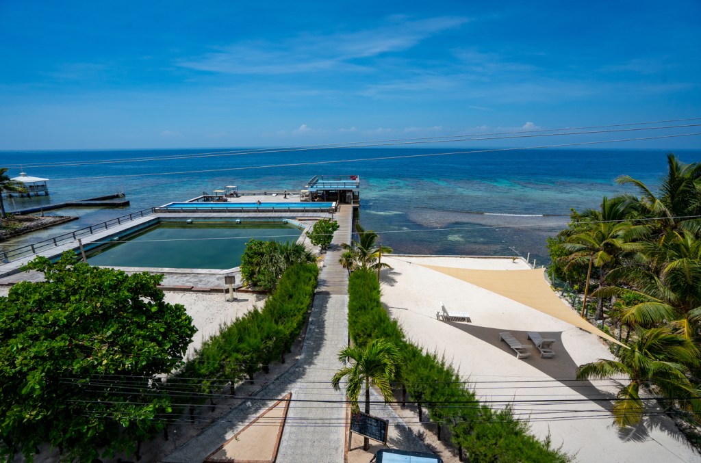 Fyre Festival Pop-Up Event Planned at Honduras Island Hotel & Resort ...