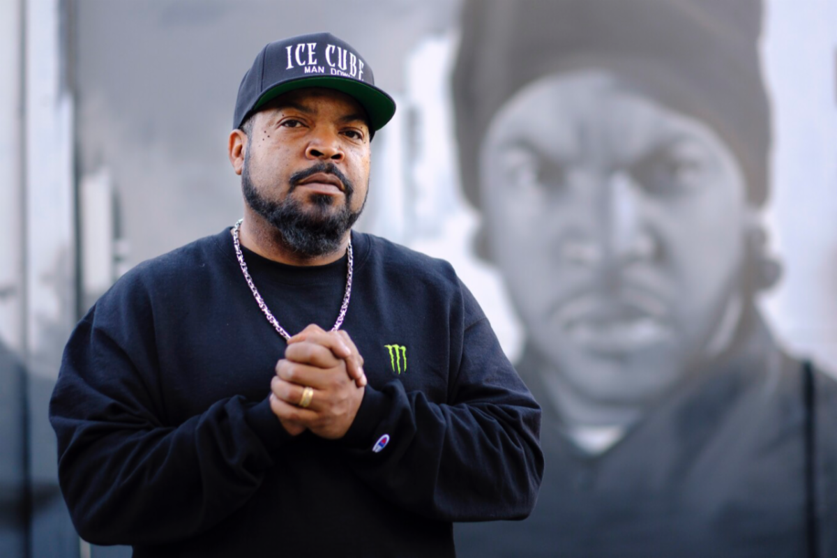 Ice Cube Says He Was Robbed By TSA—But He Scared Thief Into Honesty ...
